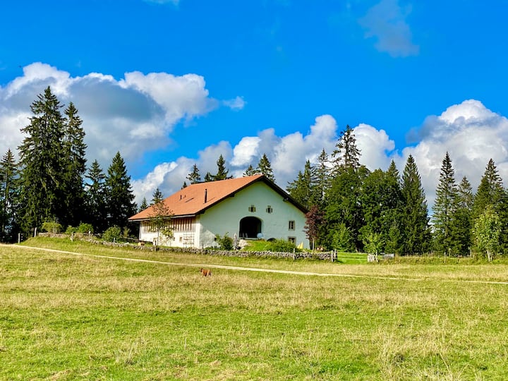 Relaxing Retreat In The Jura Mountains - Les Breuleux