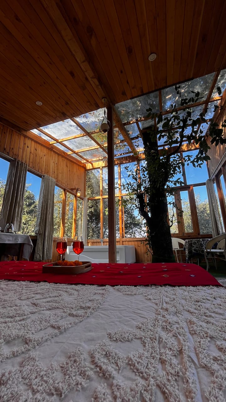 Wanderlust Jaccuzi Treehouse /Wanderlust Stays - Jibhi