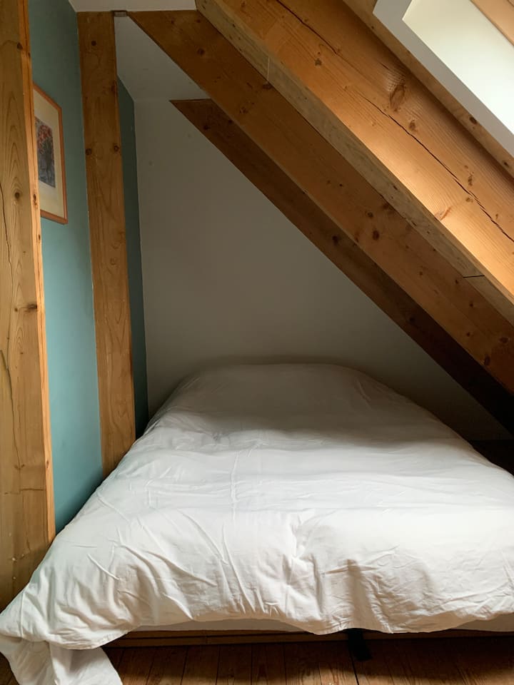 Kamer Edith - Antwerp