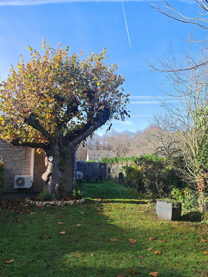 Maisonnette En Bois Proche Forêt Jardin Non Clos - Saint-Arnoult-en-Yvelines