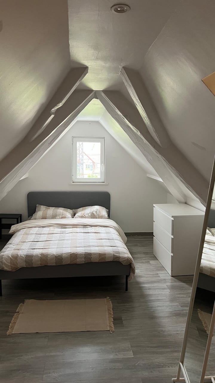 Petit Appart Strasbourg Centre - Illkirch-Graffenstaden