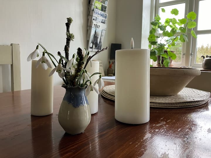 B&b Charme 
Til Naturelskere 
I Skov Ved Strand - Nymindegab