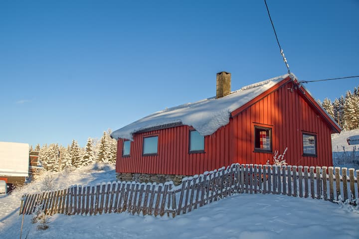 Gammelstugu - Norvegia