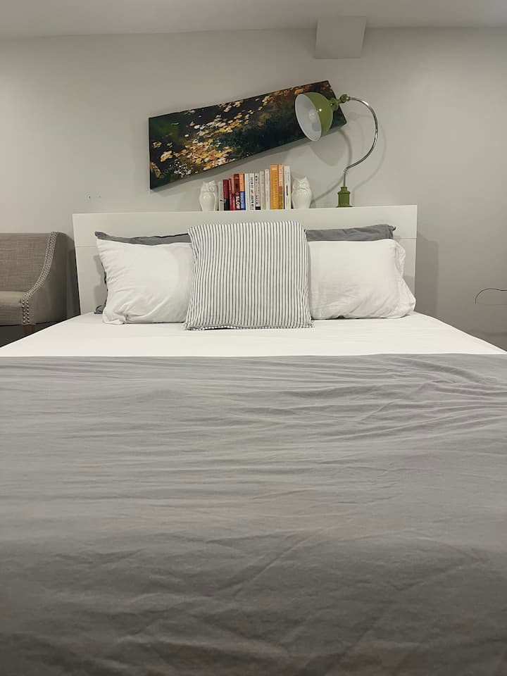 Private Lower Suite Steps To Uoft & Kensington Mkt - Toronto