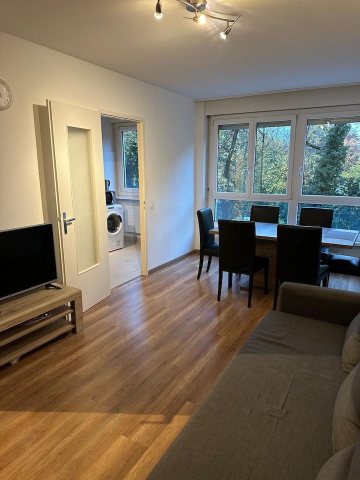 Peaceful Flat In Geneva - Ferney-Voltaire