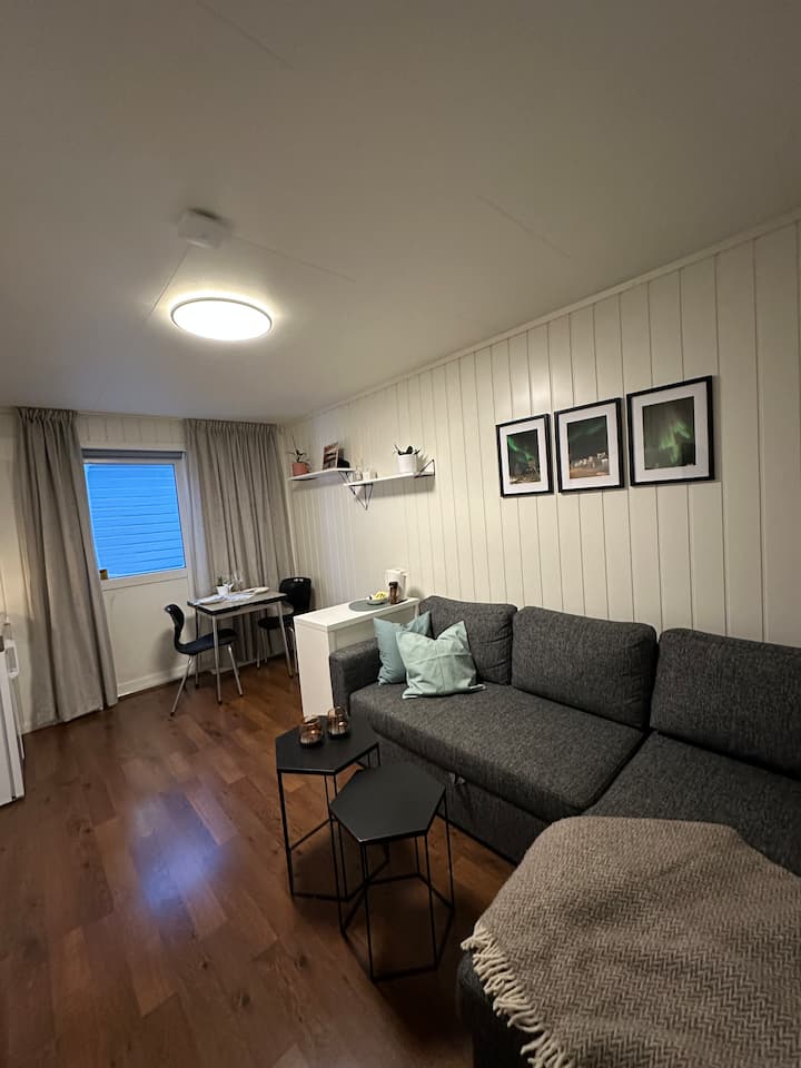 Koselig Hybel Nær Skiløype Med Egen Inngang. - 트롬쇠