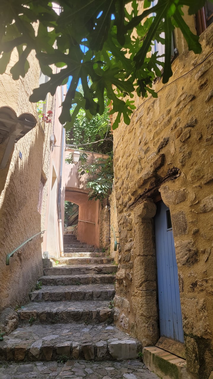 La Petite Maison Au Pied Du Figuier - Nyons