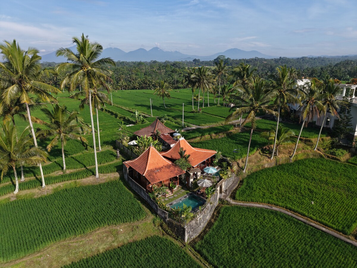 Gedong Batu Villas private pool villa - Villas for Rent in Tegallalang ...