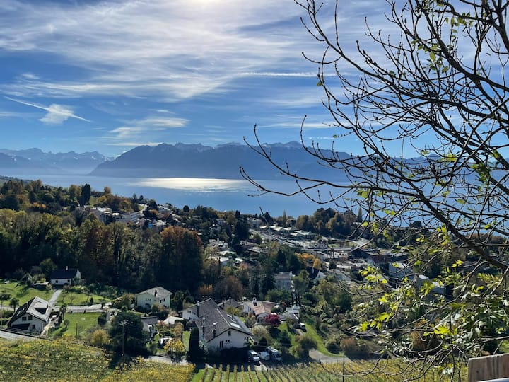 Vue Panoramique - Design & Calme Absolu - ローザンヌ