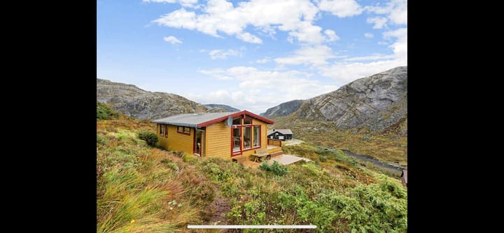 Koselig Fjellhytte Omgitt Av Lyng Med Flott Utsikt - Norway