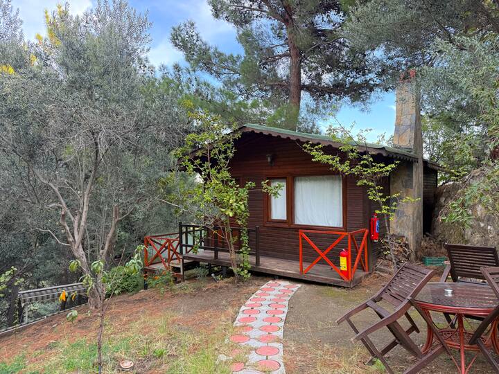 Wooden Bungalow,pool &  Breakfast In Ida Mountains - Akçay