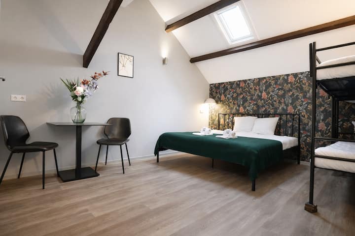 Family Room In City Center - Castricum
