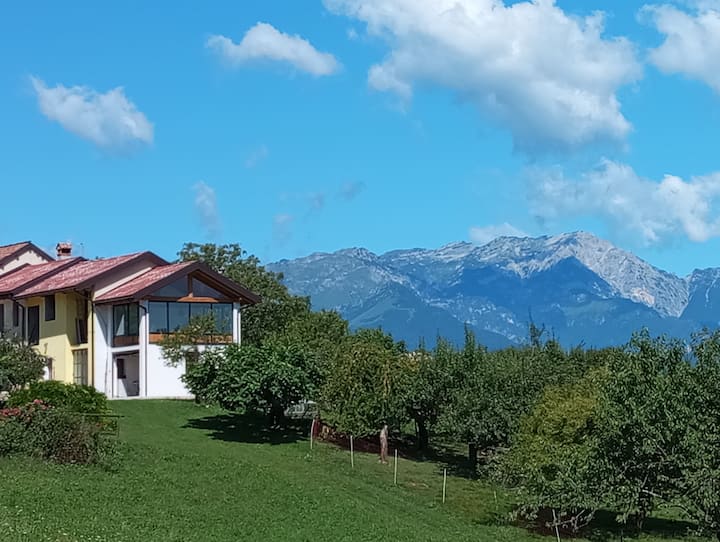 Poggio Al Borgo - Mel