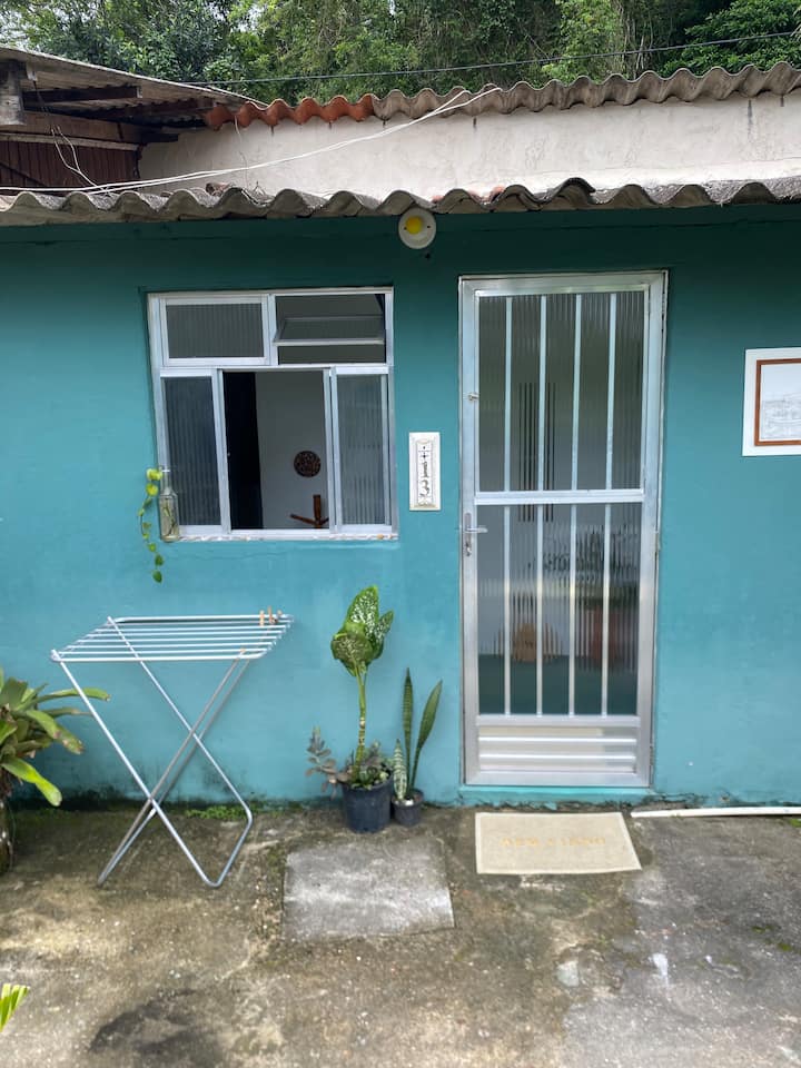 Bromélia - Ilha Grande