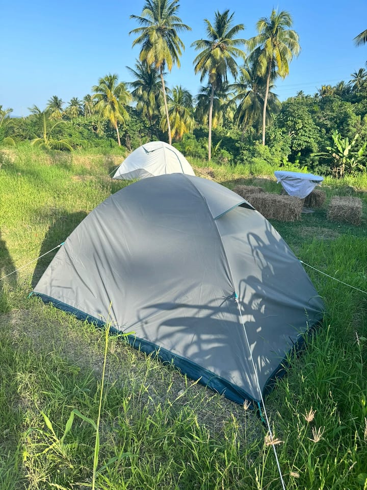 Camping Barbados South Coast
Grass Pitch Byot #2 - Barbados