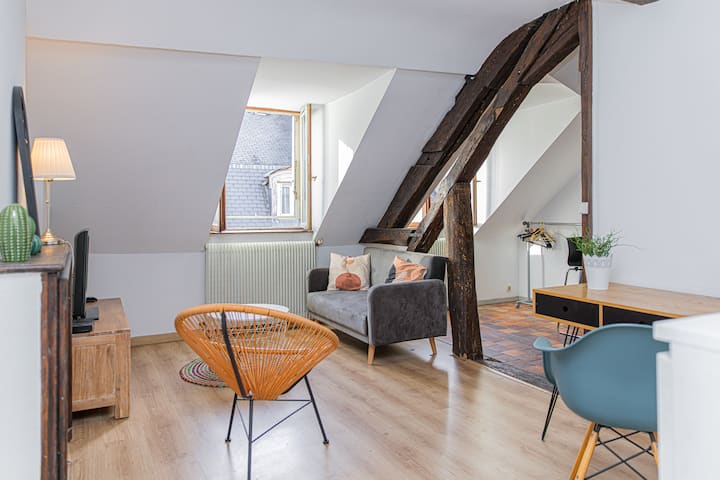 Le Bourgogne - Petit Duplex Cœur D'orléans - Orléans