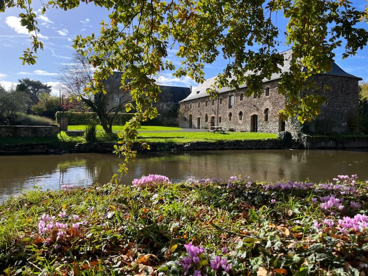 Manoir De La Vieille Douve - Gite D'arcy - Segré