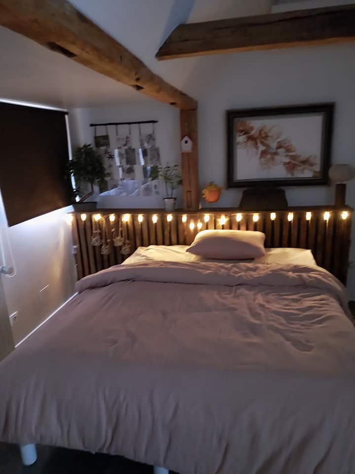 Très Belle Maison De Ville Atypique - Wasselonne