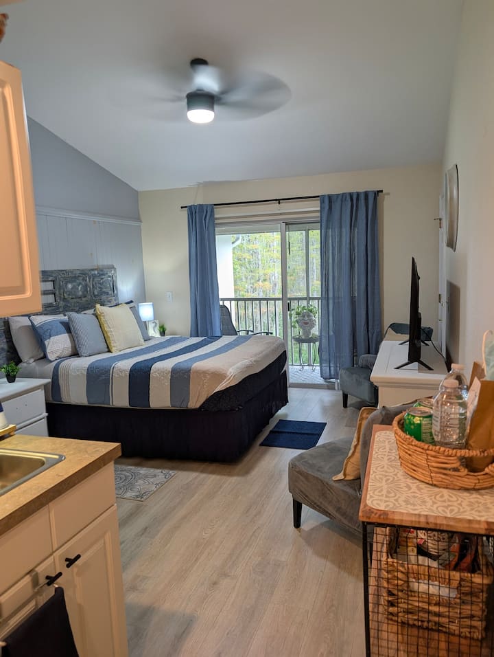 Vaulted King Studio, 3rd Floor, Private Lanai - Land O' Lakes, FL