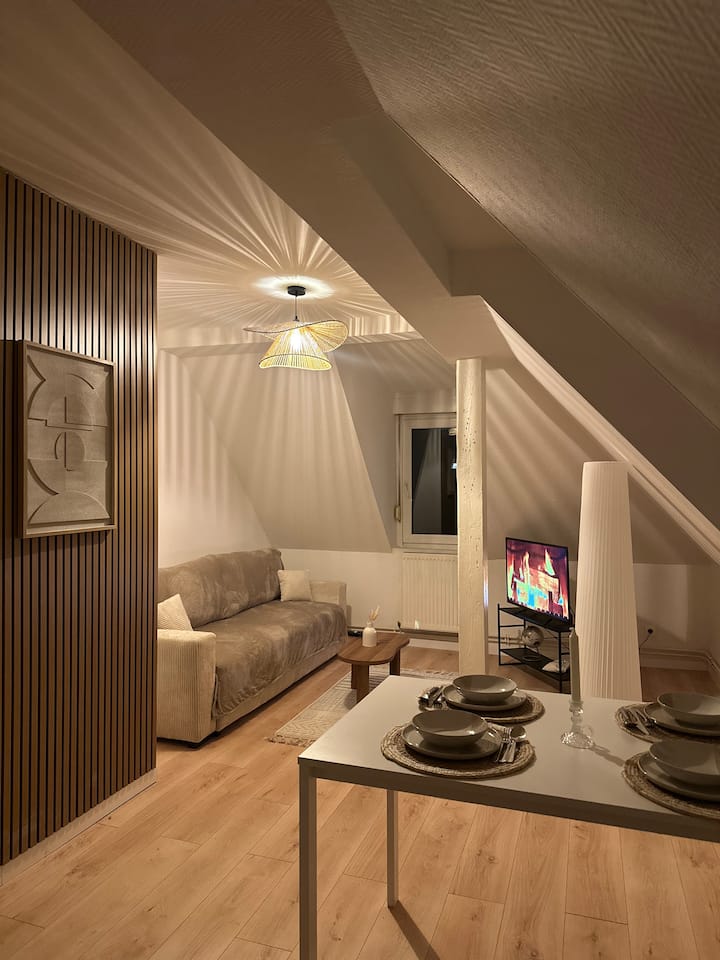 Appartement Proche Du Centre Ville - Strasbourg