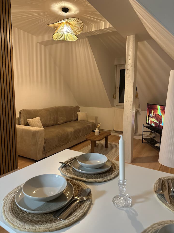 Appartement Chaleureux à Strasbourg - Le Zénith de Strasbourg