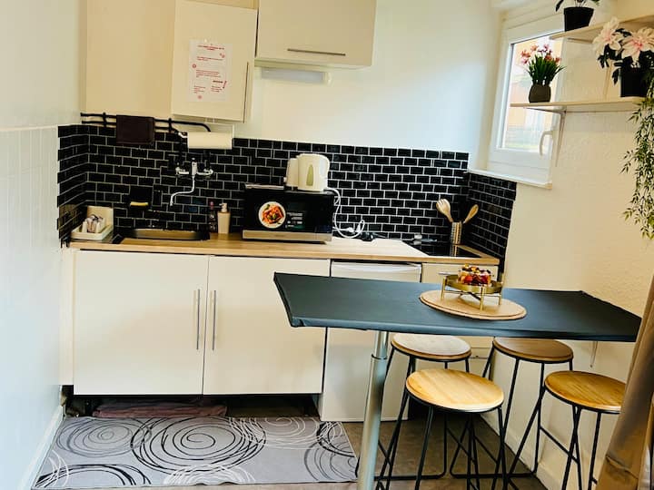 Appartement Chaleureux - Strasbourg