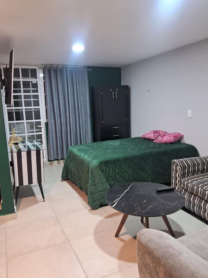 Loft Con Entrada Independiente Y Balcón - León