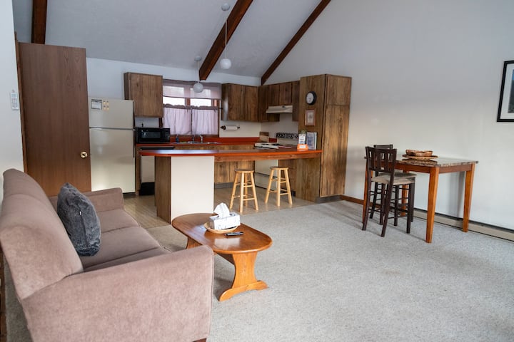 Cozy Condo #3 - Hunt, NY