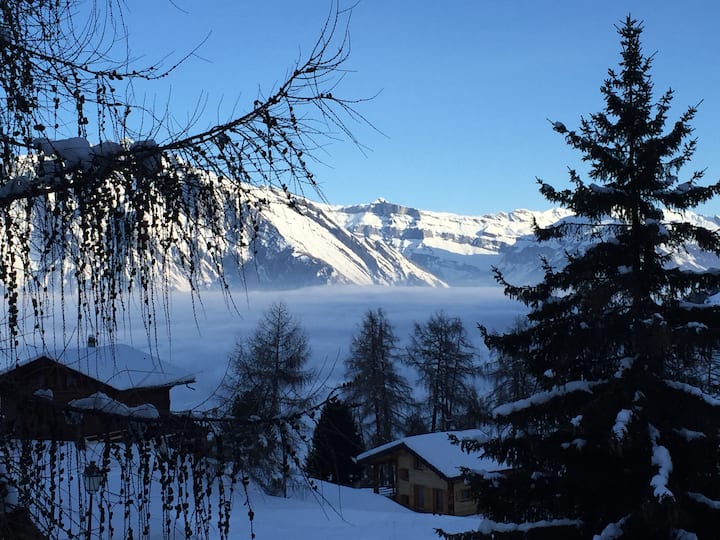 Large 3 Bed Ski Chalet, 8-10 Min Walk To Centre - Ovronnaz