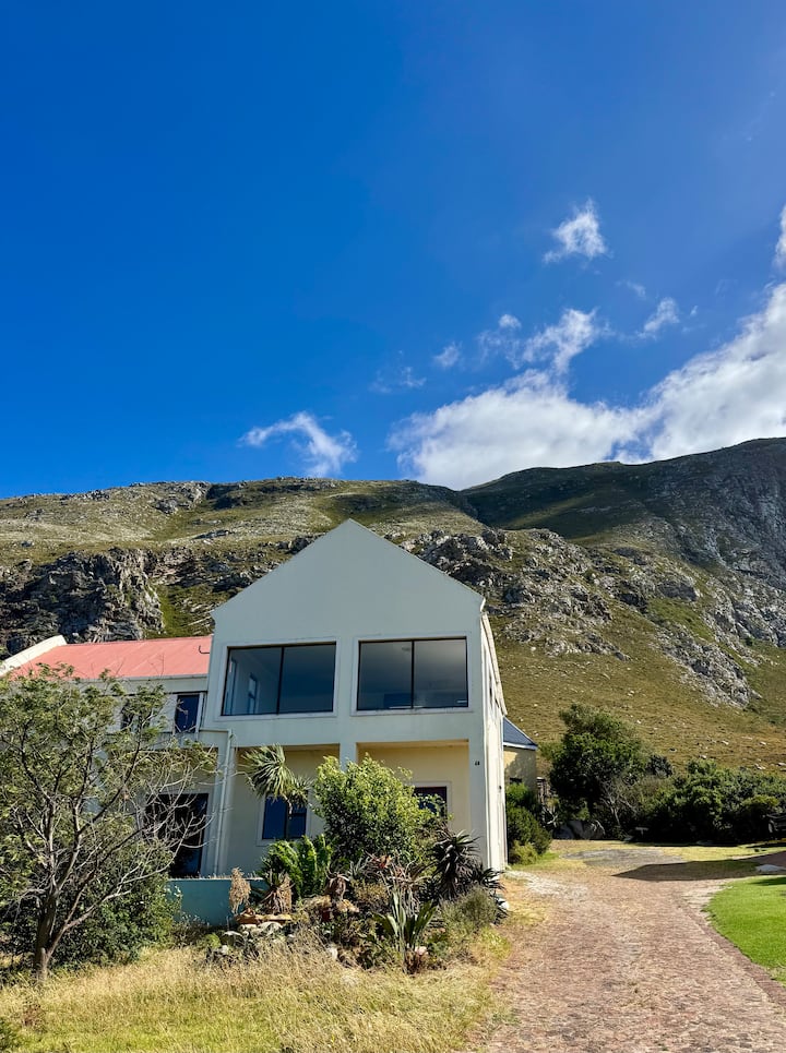 Sea And Vlei On Disa - Pringle Bay
