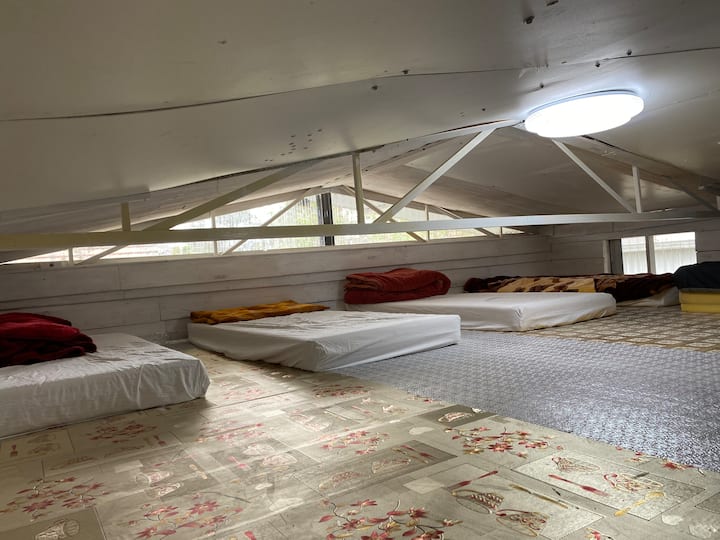 Cheap Beds - Notting Hill