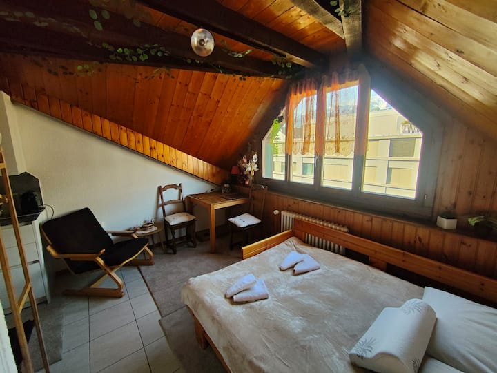 Your Warm & Cosy Cocoon In The Middle Of The Alps! - Sion