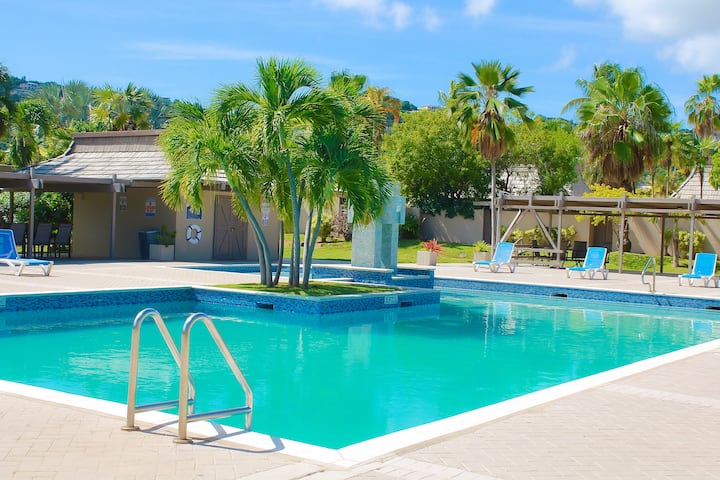 Pineapple Parrot, A Tropical Studio - Saint Thomas