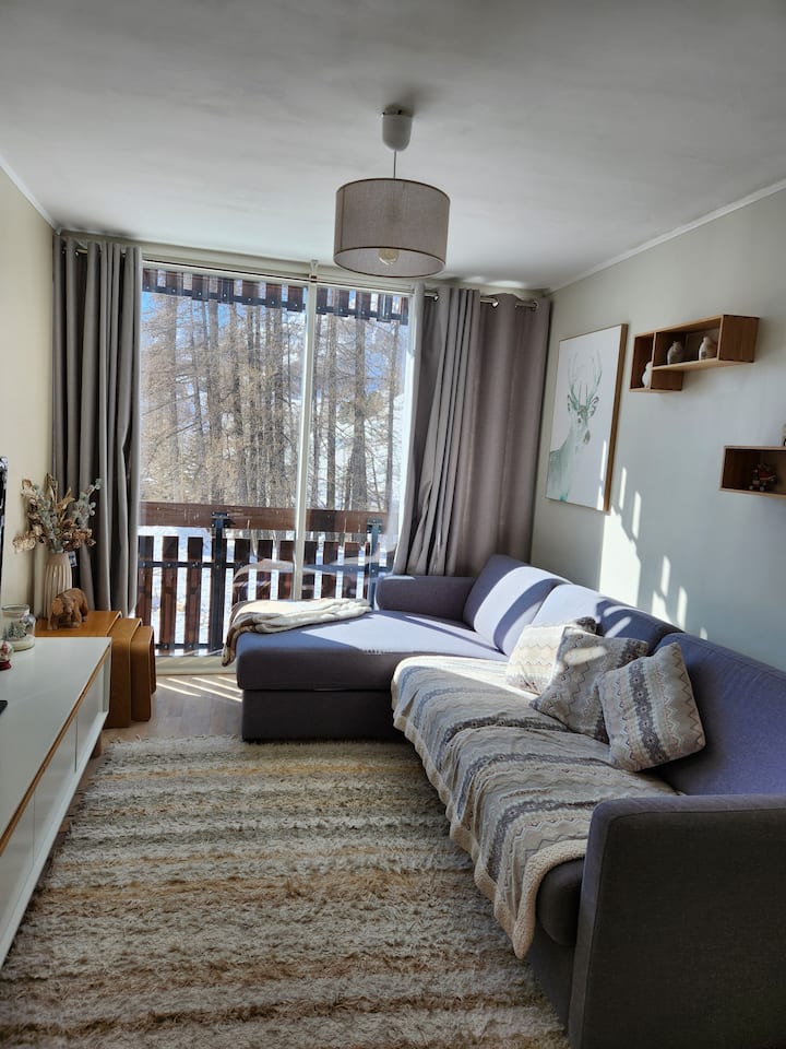 Charmant Appartement De Montagne Face Aux Pistes - La Foux d'Allos