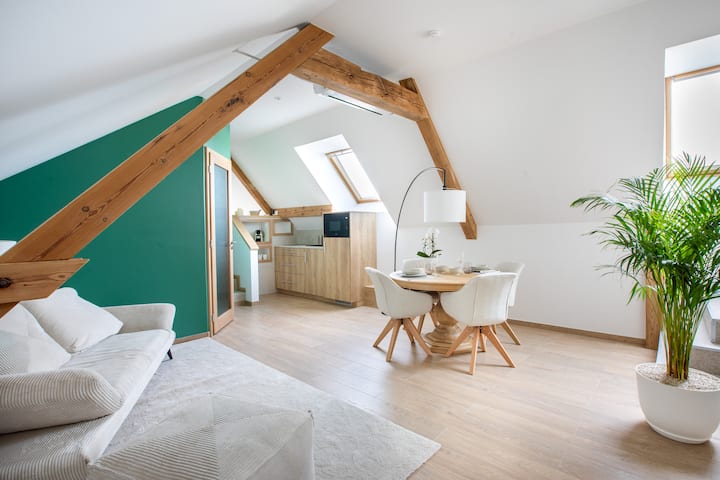 Appartement Pour Couple Cosy Neuf Et Au Calme - Colmar