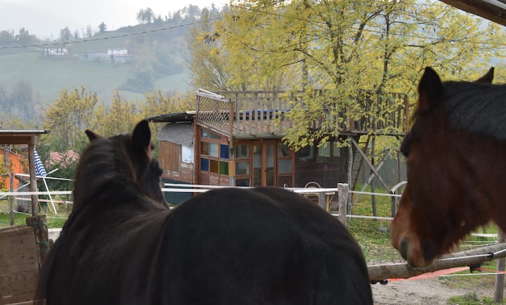 Relax Tra Natura E Cavalli - Provincia di Piacenza