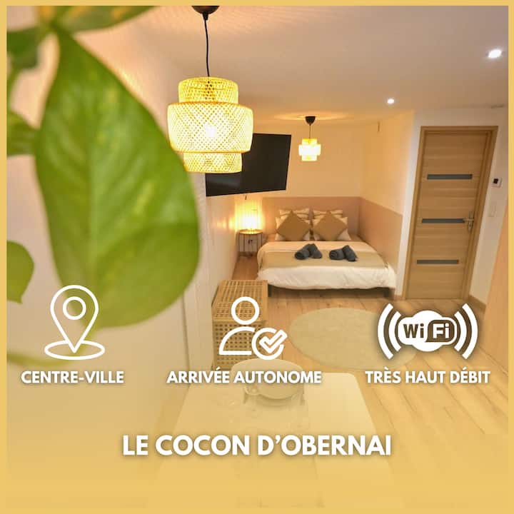 Le Cocon D'obernai - Barr