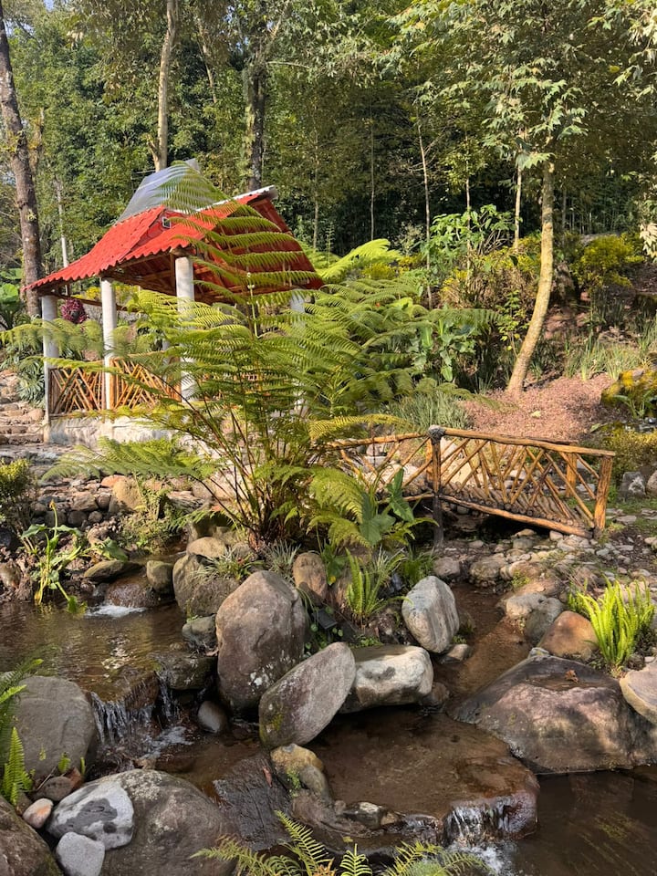 Senderos Del Río - Cabañas En Xico Viejo, Veracruz - Xico