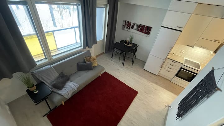 Kodikas Yksiö Metsänäkymällä Ja Parvekkeella - Oulu