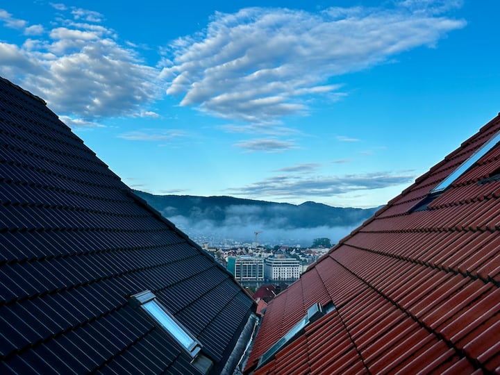 Atypical Tiny House In The Heart Of Bergen - Bergen