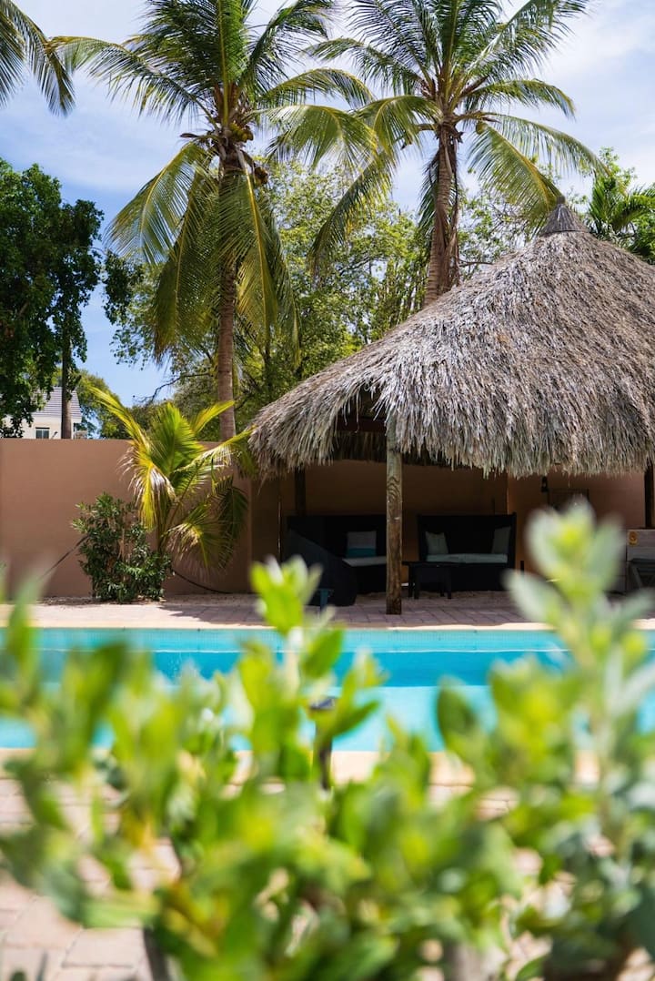 Oasis Haven:
A Sanctuary For Rest And Relaxation - Curaçao
