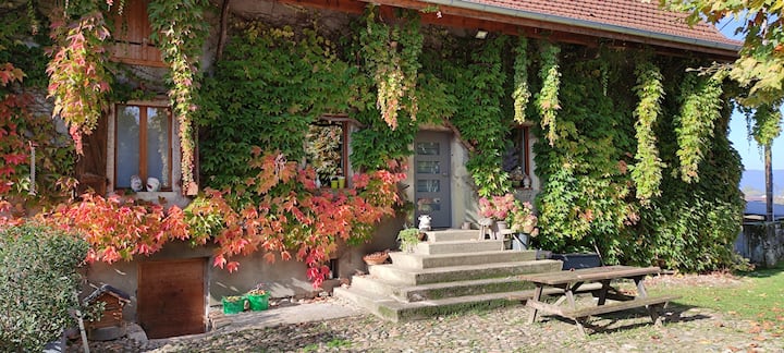 Logement De Campagne Cosy - 30mn Annecy - Seyssel