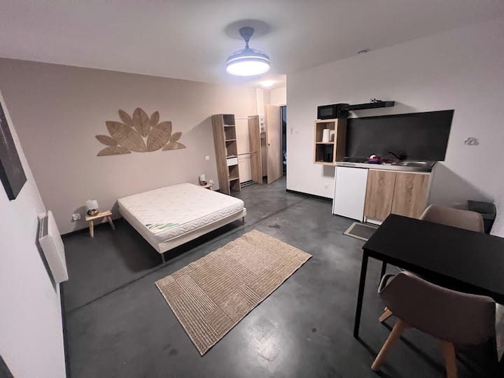 Studio Proche Aéroport De Lyon. - Lyon-Saint Exupéry Airport (LYS)