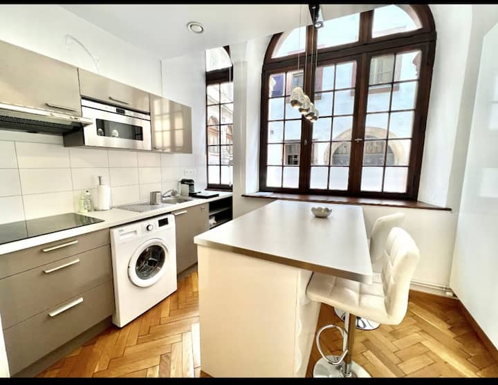 Emplacement D’exception, Appartement De Standing - Strassburg