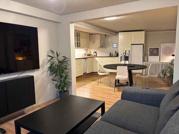Cozy Apartment Near Downtown - Reikiavik