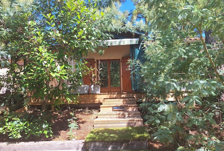 Maison Dans La Pinède - Lacanau