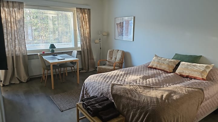 Viihtyisä Yksiö Lähellä Kaupunkikeskustaa - Savonlinna