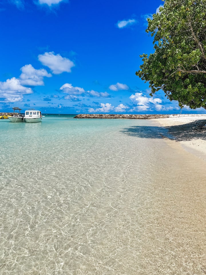 Beautiful & Budget Friendly | Stay In Thulusdhoo - Maldives