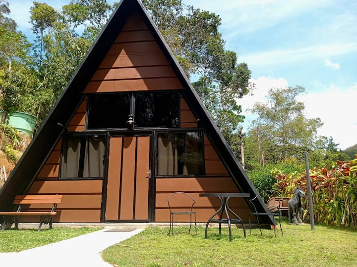 Chalé Do Carmo:
Conforto E Conexão Com A Natureza - Petrópolis