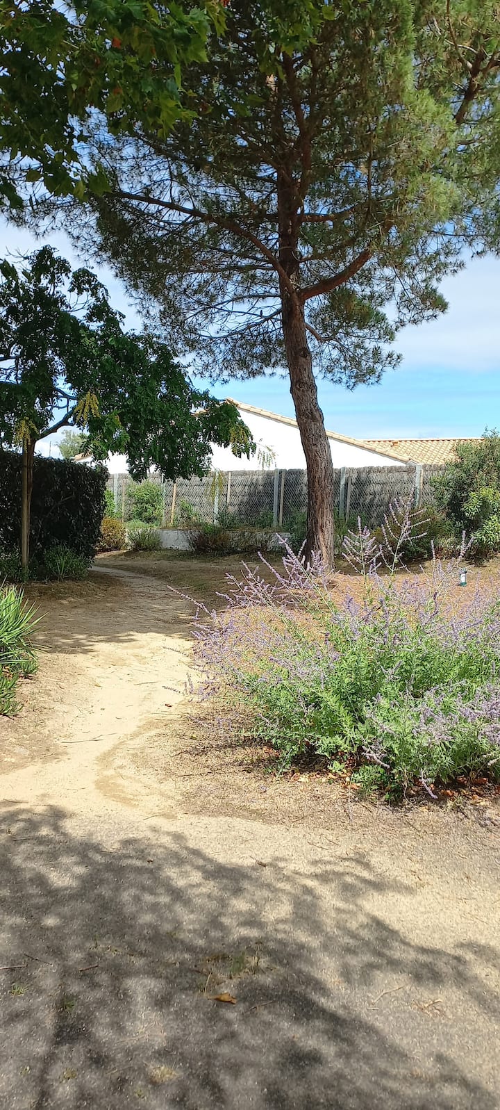 Domaine Familial Océan & Forêt Avec Piscine - Saint-Jean-de-Monts
